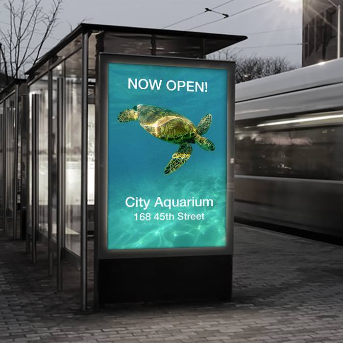 Prints | Kinney Drugs Photo: Create & order photo books, prints, cards ...